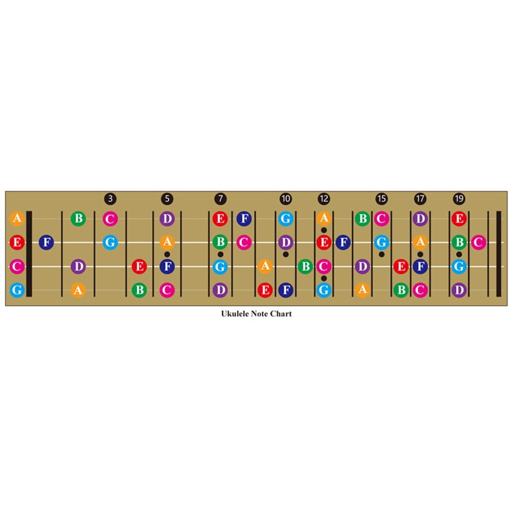 BTOER Ukulele Guitar Fretboard Note Chart Quick Learning Ukulele Chord ...