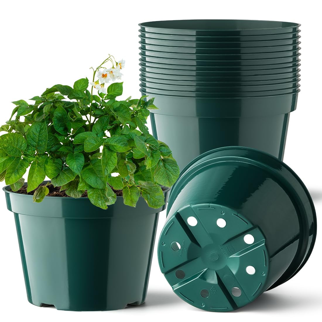 BTPLASTIK 8 Inch Plastic Plant Pots, 15 Pack Sturdy Nursery Pots with ...