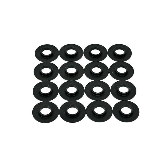 BTR Brian Tooley Racing Spring Locators for LS Dual Springs with Stock ...