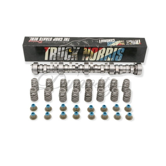 BTR Brian Tooley Racing Truck Norris Camshaft Kit with Springs and ...