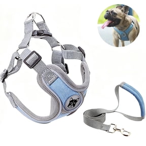 BELLA & PAL Puppy Harness and Leash Set, Step-In Adjustable No Pull ...