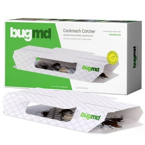Bugmd