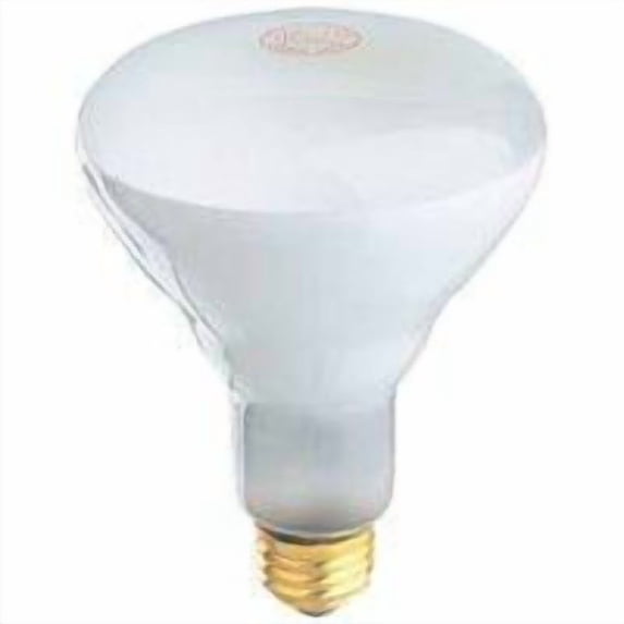 SYLVANIA 65BR30/FL/RP Incandescent Bulb Flood 65W 120V Frost - Walmart.com