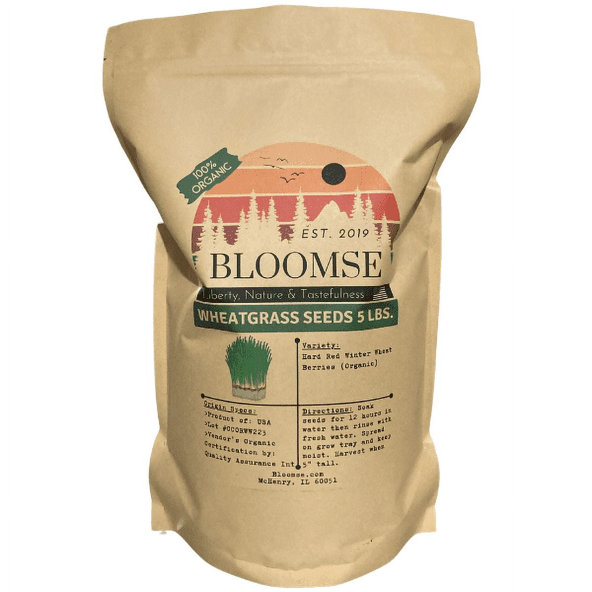 BULK Organic Wheatgrass Seeds Hard Red Winter Wheat Berries 5 Pound ...