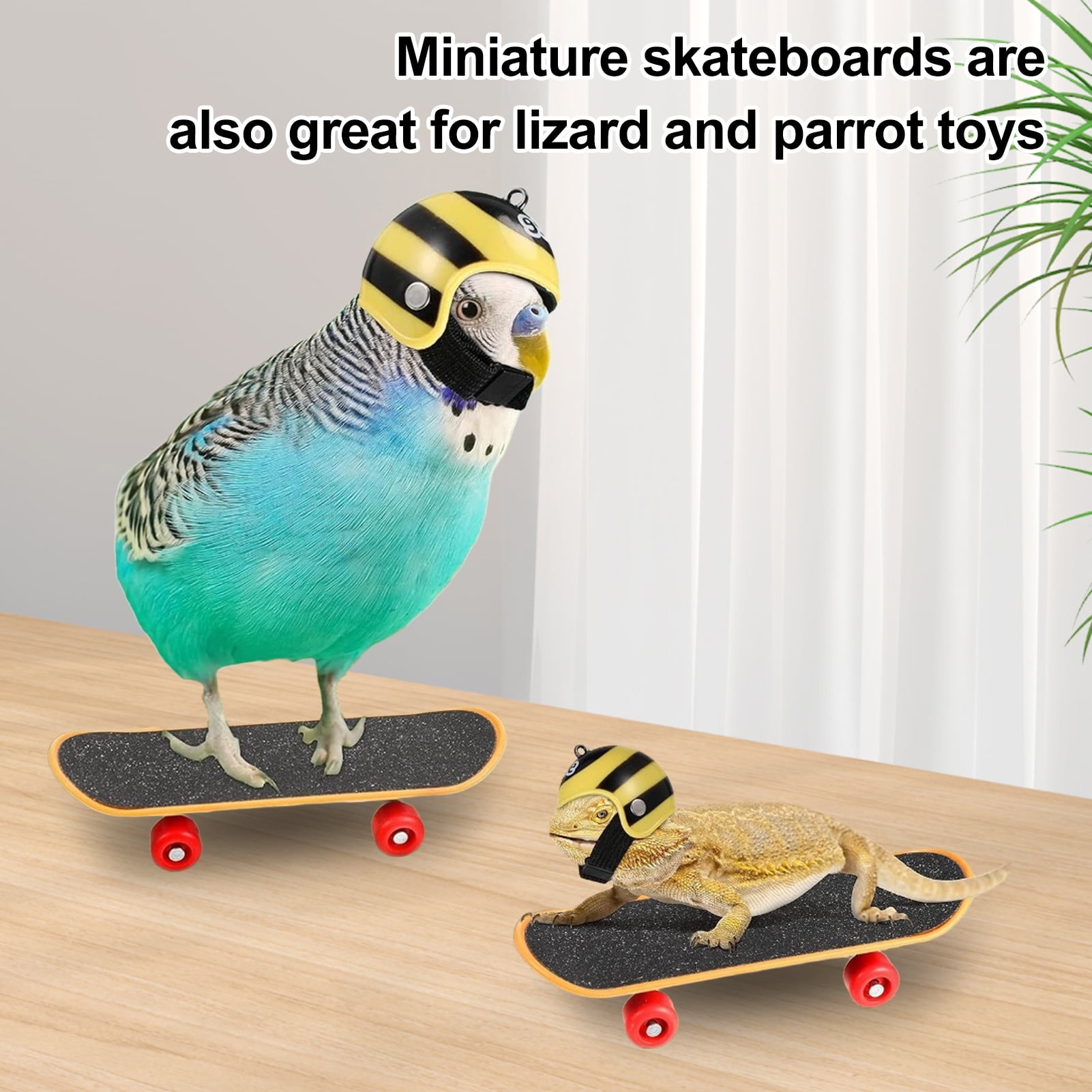 BULLPAW Adjustable Tortoise Leash And Skateboard Set Outdoor Training ...