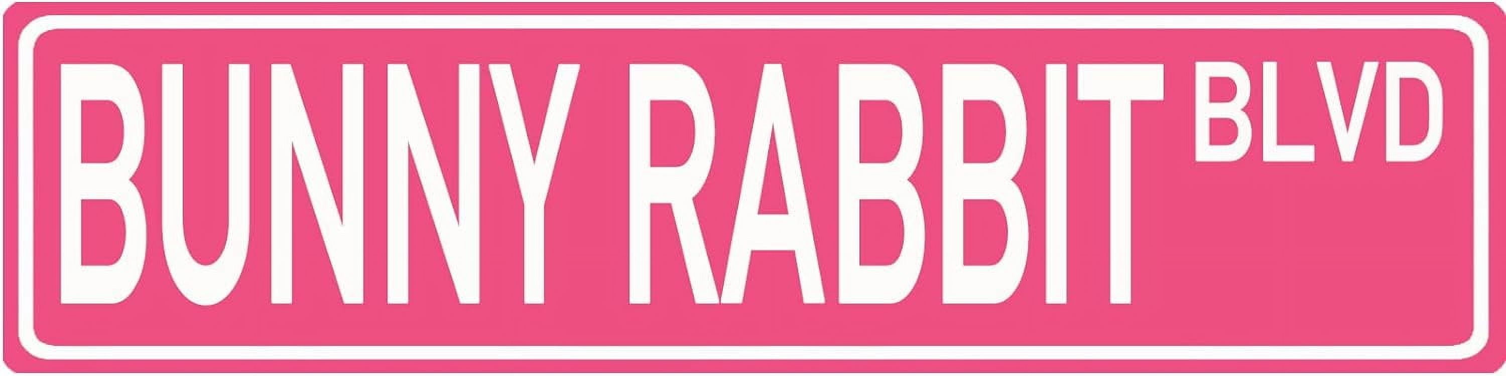 BUNNY RABBIT BLVD Tin Signs for women, Outdoor Aluminum Metal Sign ...