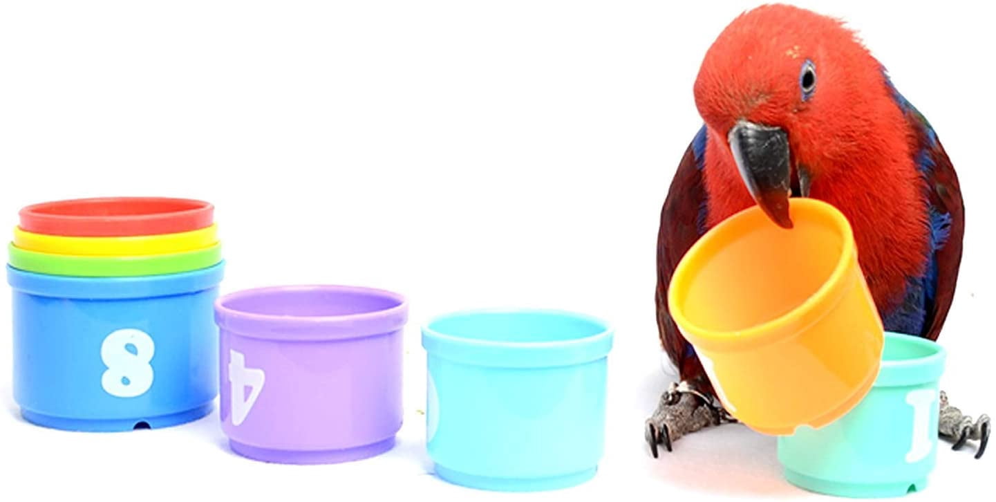 BURIBURI Bird Intellective Mini Basketball Rack Training Toy for ...