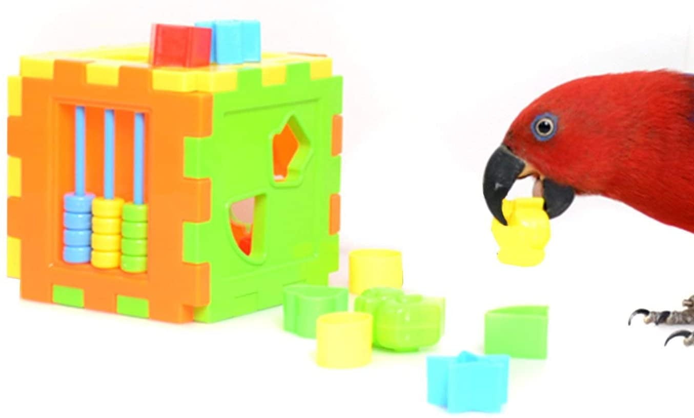 BURIBURI Bird Intellective Mini Basketball Rack Training Toy for ...