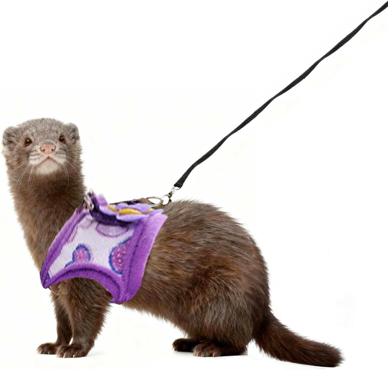 BURIBURI Ferret Harness and Leash Set, Adjustable Vest Harness for ...
