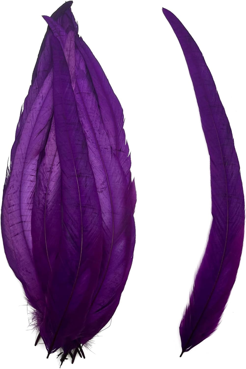 BURIBURIBURIBURI 50pcs White Long Rooster Coque Tail Feathers 12 ...