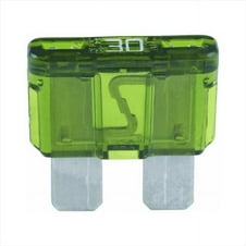 30 Amp Automotive Fuses