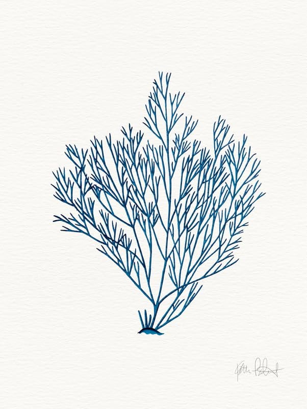 BUY ART FOR LESS Officially Licensed Sea Garden II Wrapped Canvas Art ...