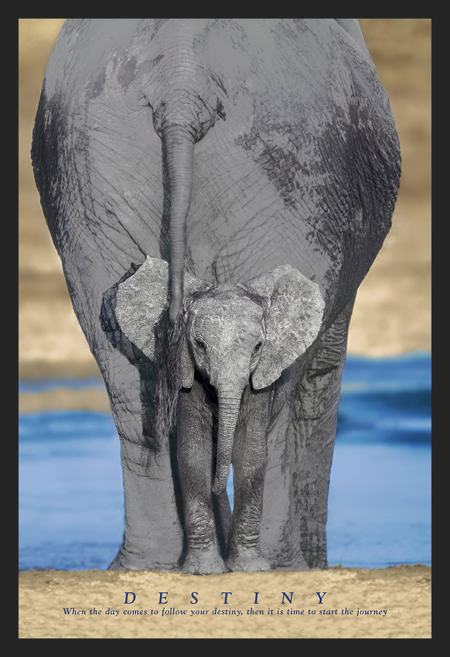 BUY ART FOR LESS Officially Licensed Destiny Elephant and Baby Elephant ...