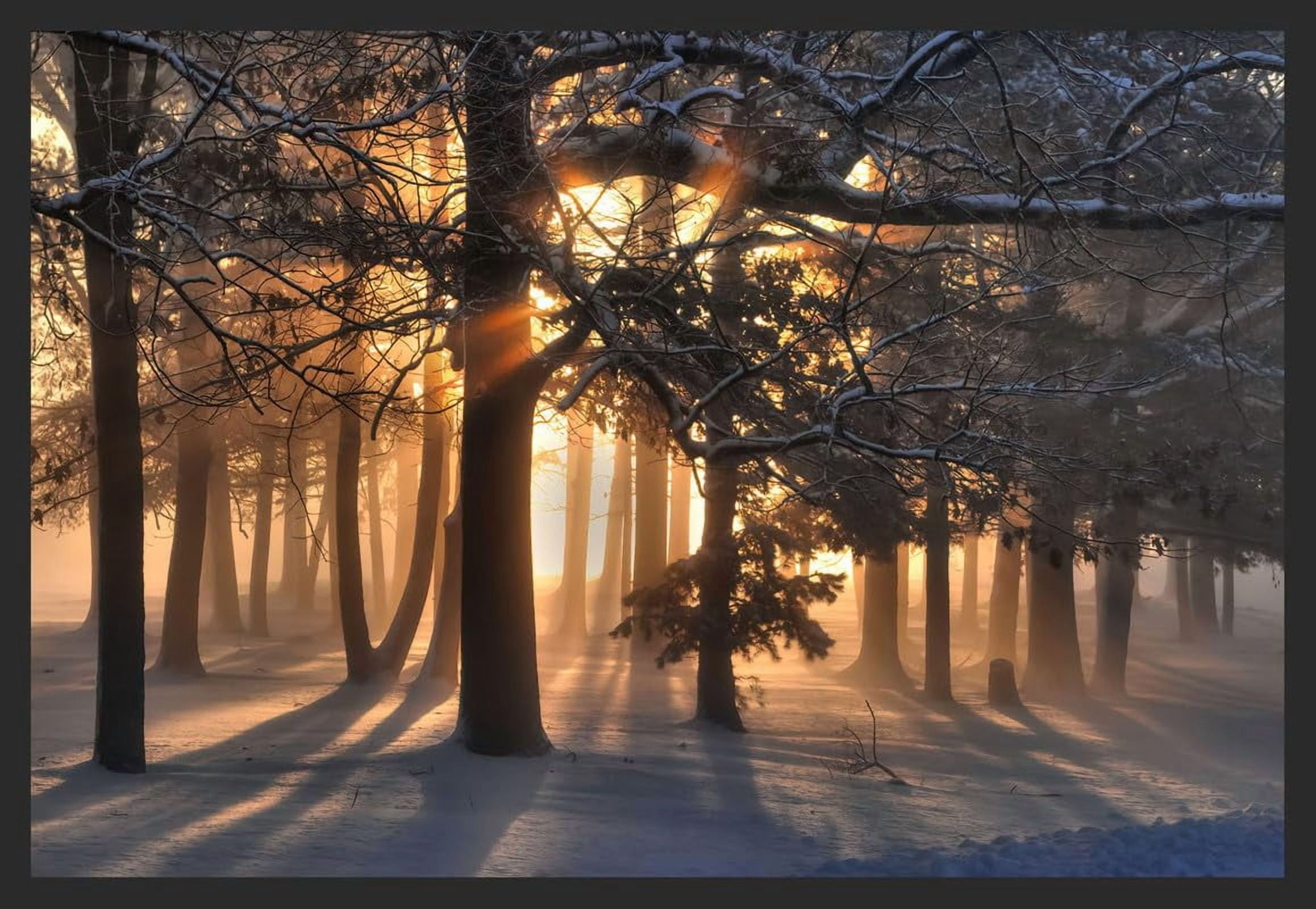 BUY ART FOR LESS Officially Licensed Sunrise in a Snowy Forrest ...