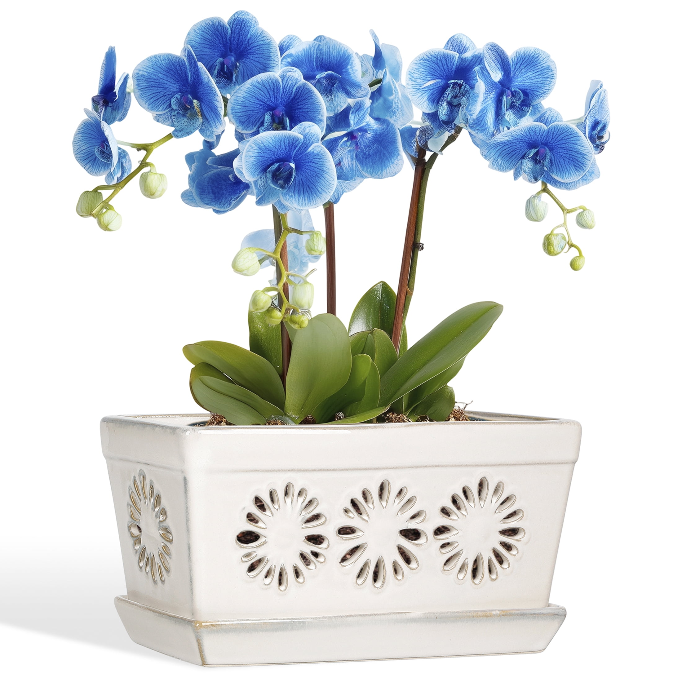 BUYMAX 10×5 Inch White Floral Ceramic Planter with Cutouts, Indoor ...