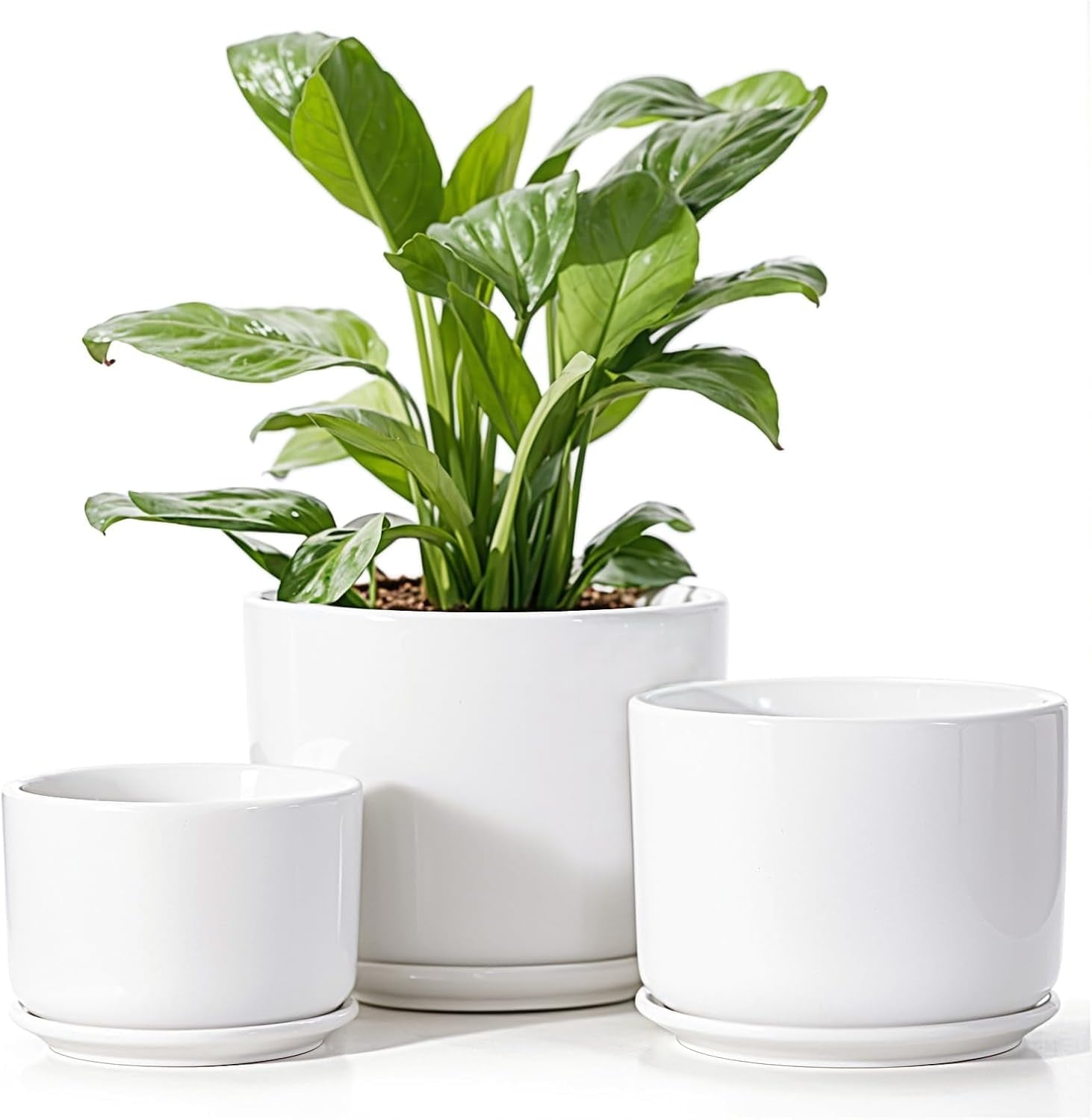 BUYMAX 4+5+6 Inch Set of 3 Ceramic Plant Pots, White, Nature Flower Pots with Drainage Hole and ...