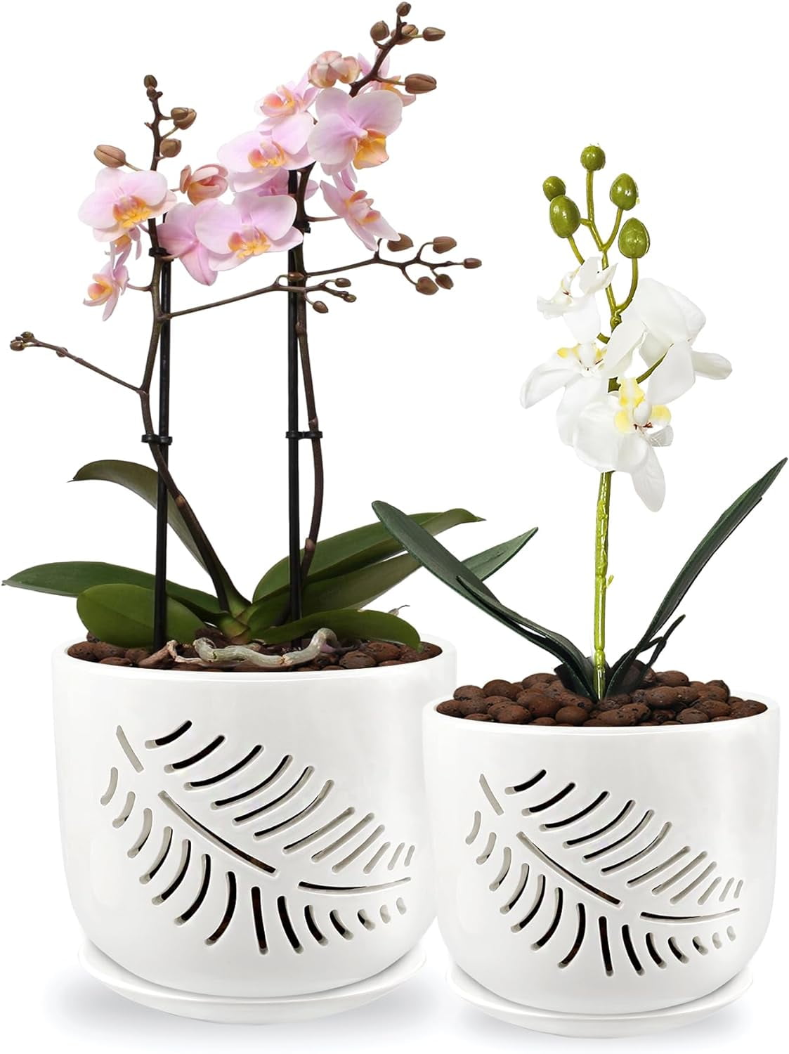 BUYMAX Ceramic Orchid Pots, 6+5 inch Orchid Pots with Holes,Orchid Pots ...