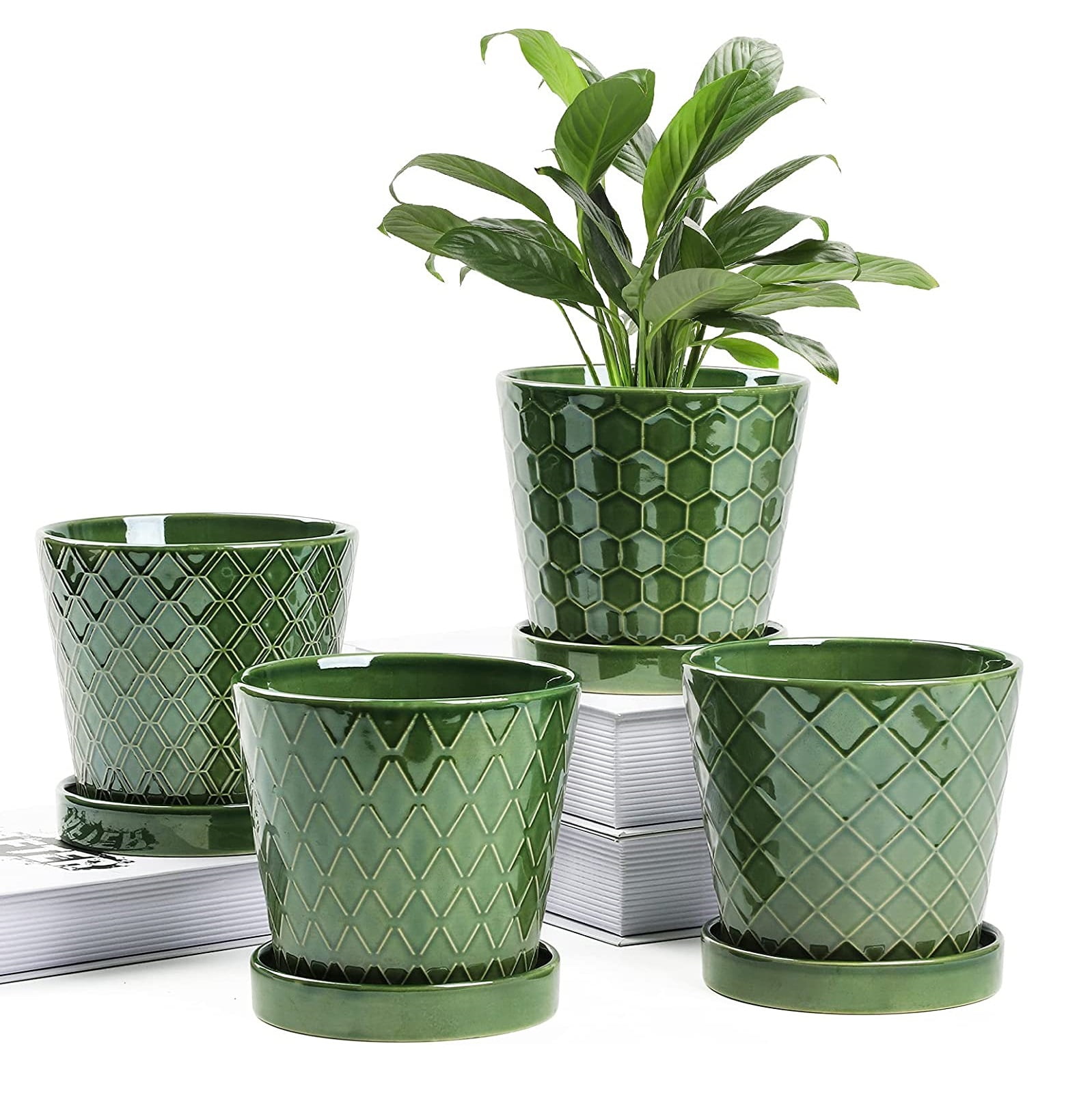 BUYMAX Plant Pots Indoor–5inch Ceramic Flower Pot with Drainage Hole ...