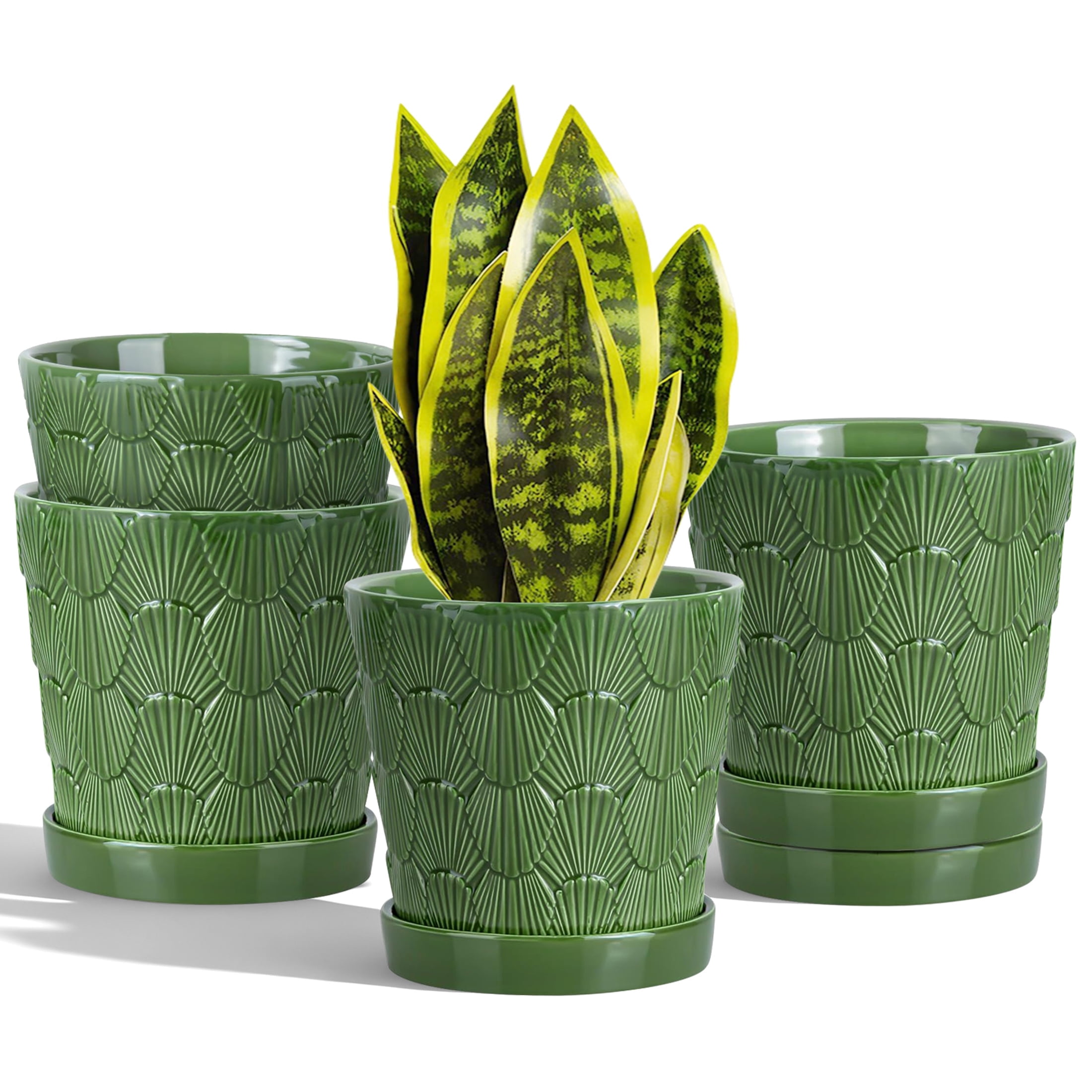 BUYMAX Set of 4 Shell-Embossed 5" Ceramic Plant Pots with Drainage ...