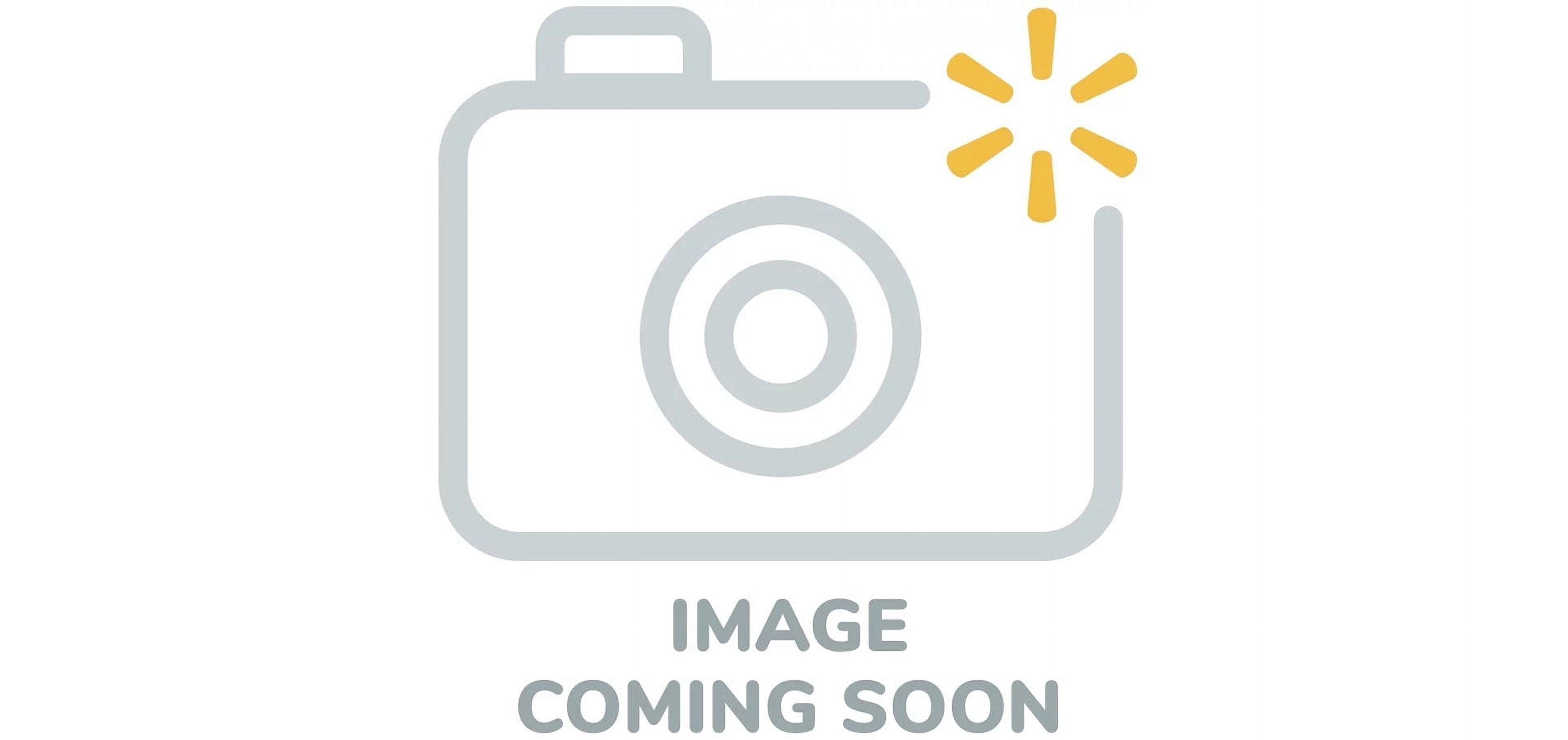 BUZZ BUZZ HUNNY LIP GLOSS - Bee Nice - Walmart.com