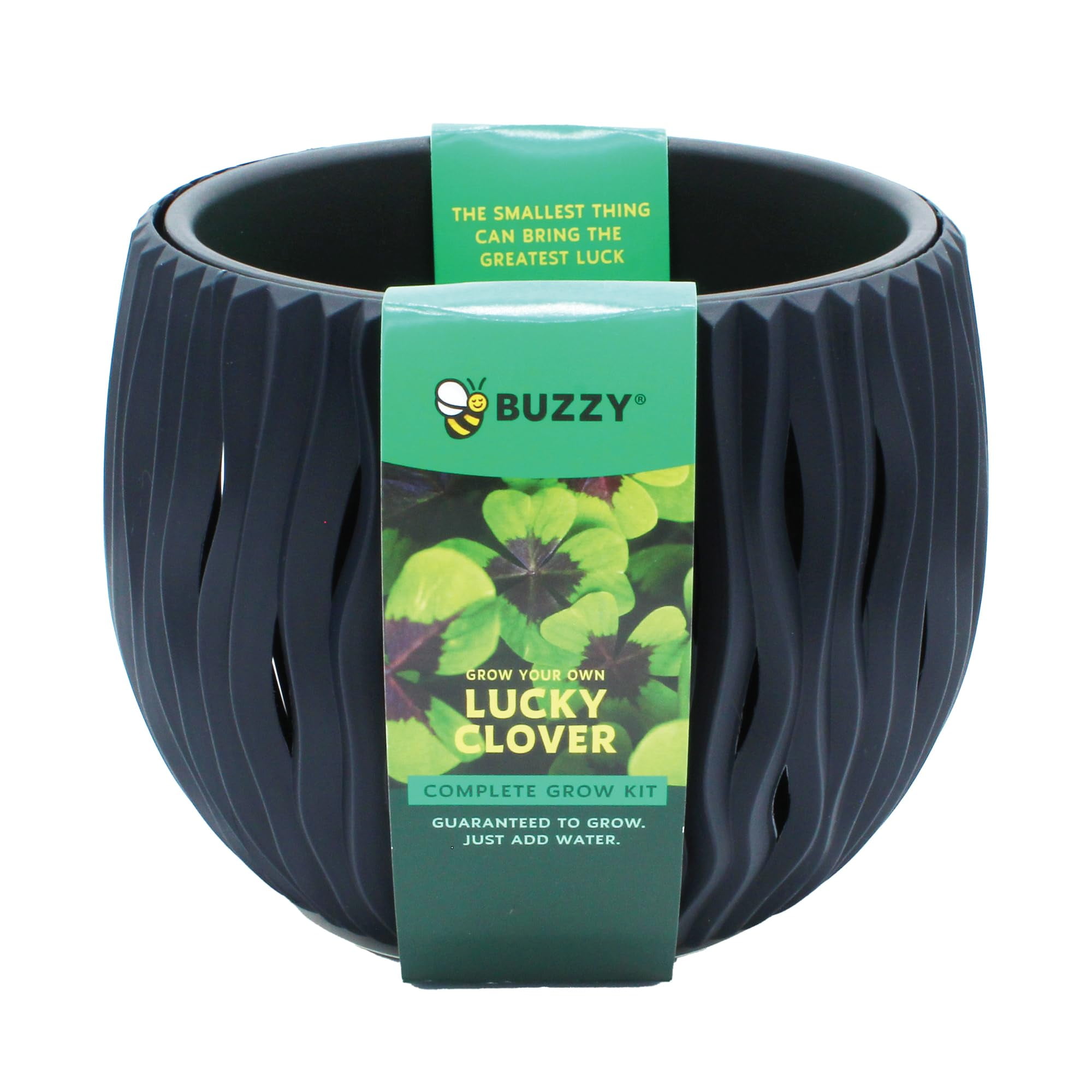 BUZZY Seeds 4-Leaf Clover (Good Luck SMRPlant) with Decorative Wavy Pot ...
