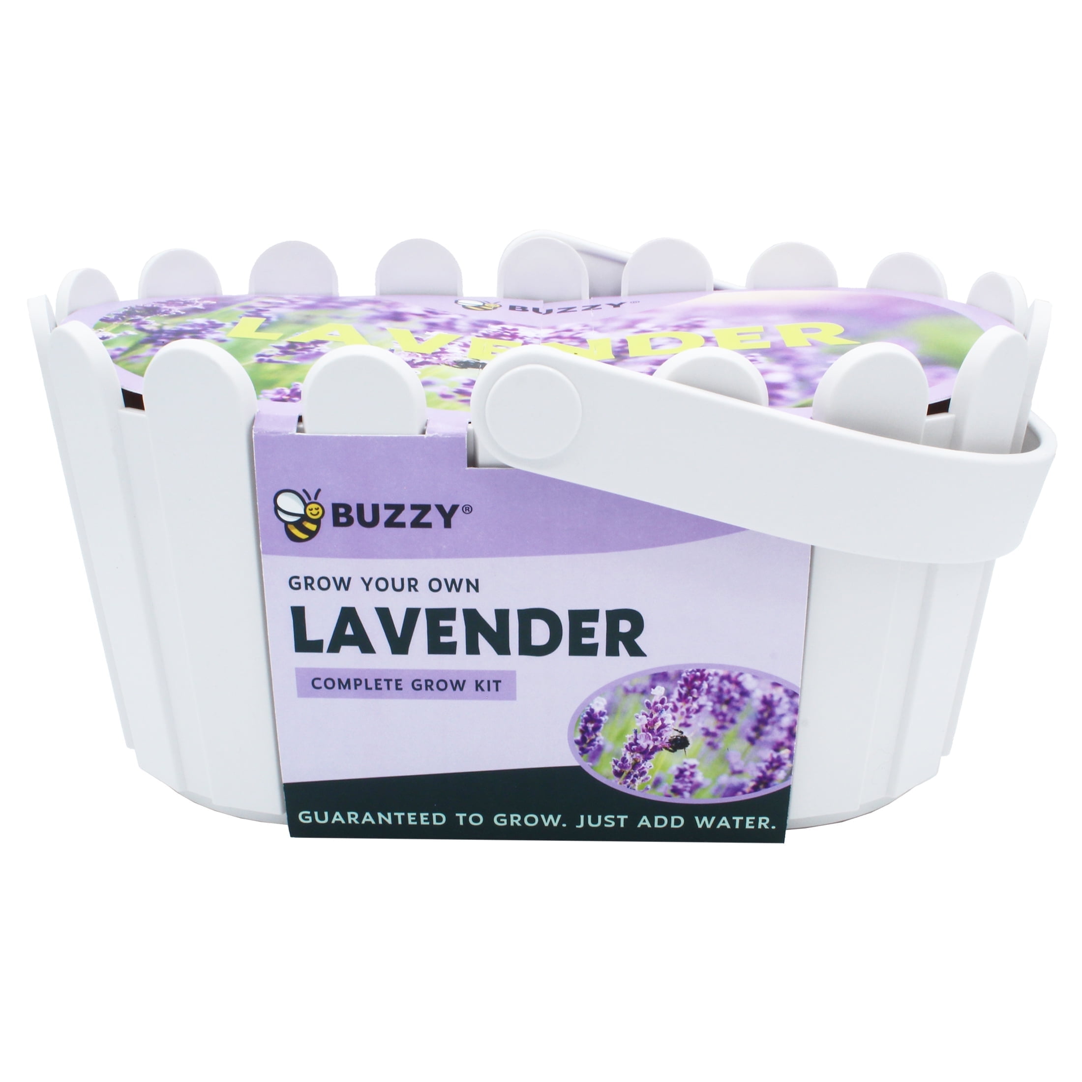 Buzzy Seeds Indoor Picket Fence Lavender Basket Seed Germination Kit ...