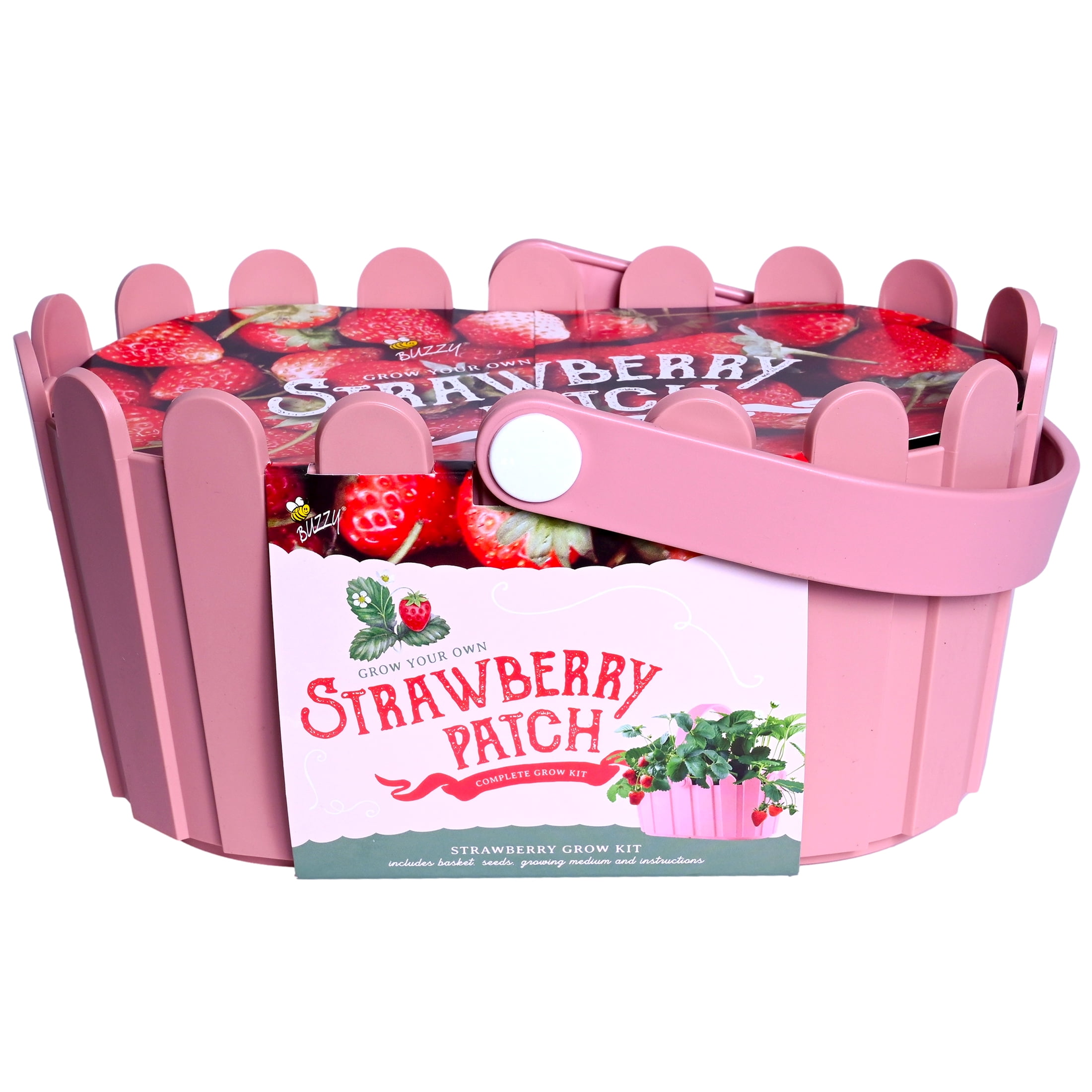BUZZY Seeds Strawberry Basket Pink, Fruit Starter Kit for Kids & Adults ...
