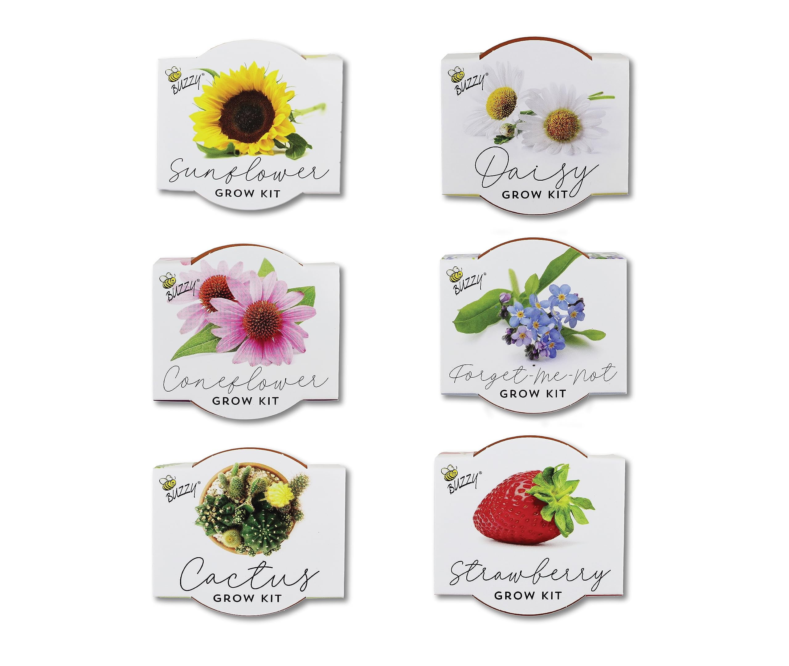 BUZZY Seeds Terracotta AJH3 Mini Grow Pots | Herb, Plant, Starter Kit ...