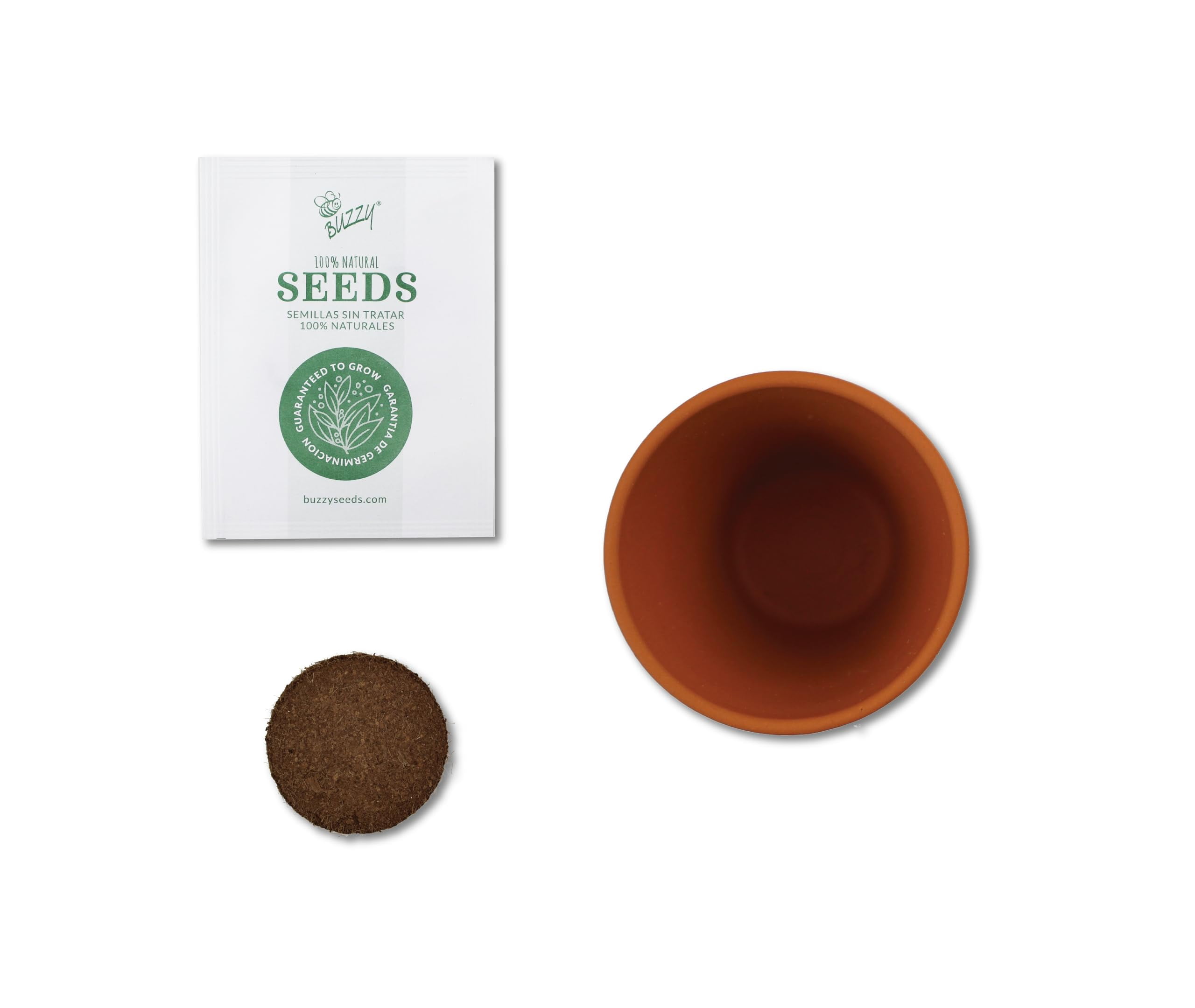 BUZZY Seeds Terracotta FEV6 Mini Grow Pots | Herb, Plant, Starter Kit ...