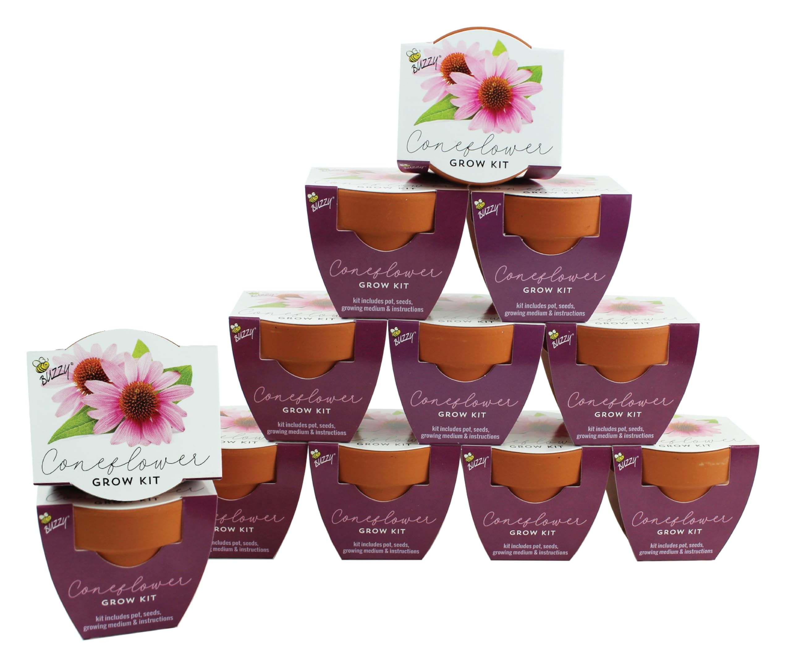 BUZZY Seeds Terracotta Mini Grow Pots AFN1| Herb, Plant, Flower Starter ...