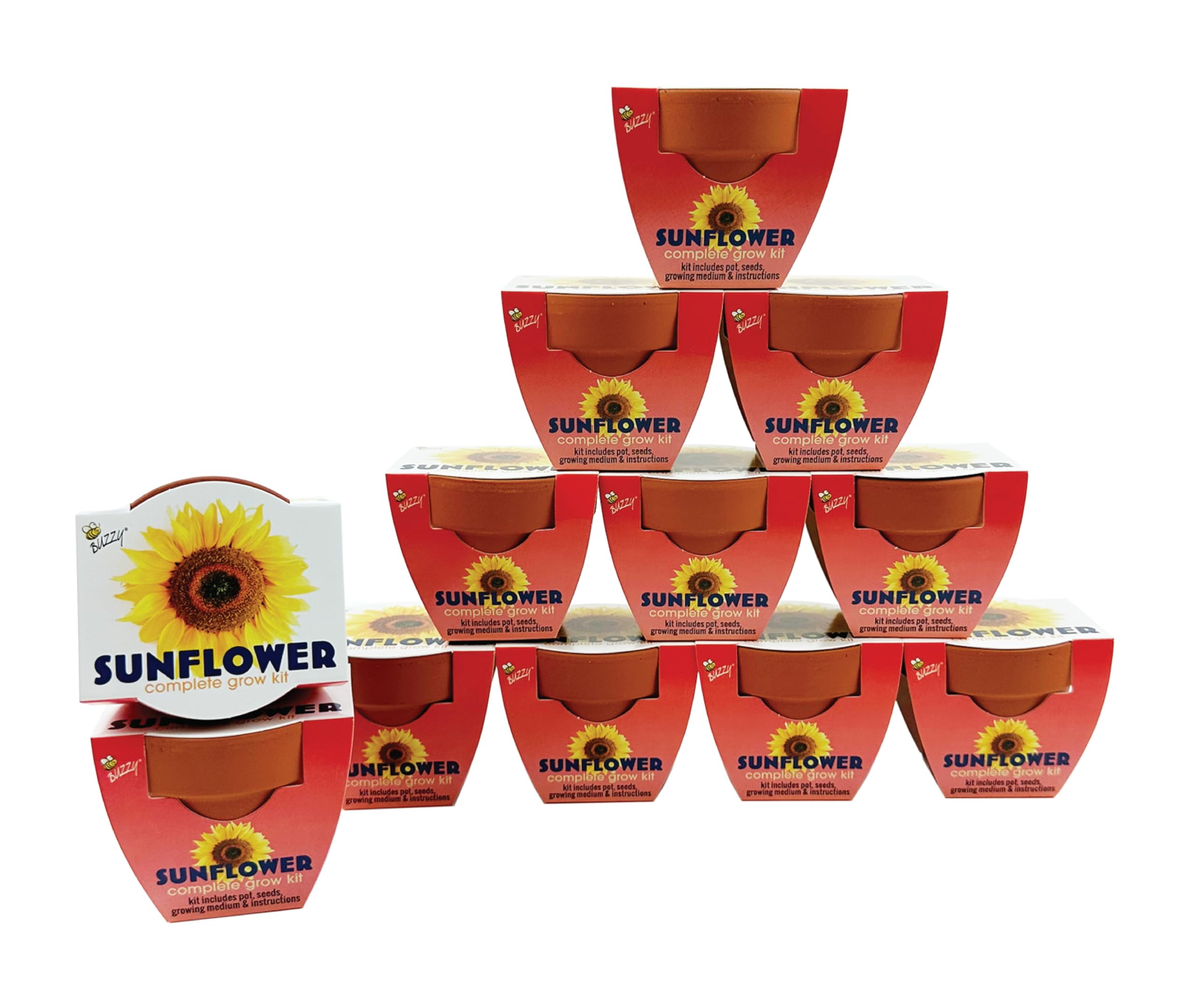 BUZZY Seeds Terracotta Mini Grow Pots SMR| Herb, Plant, Flower Starter ...