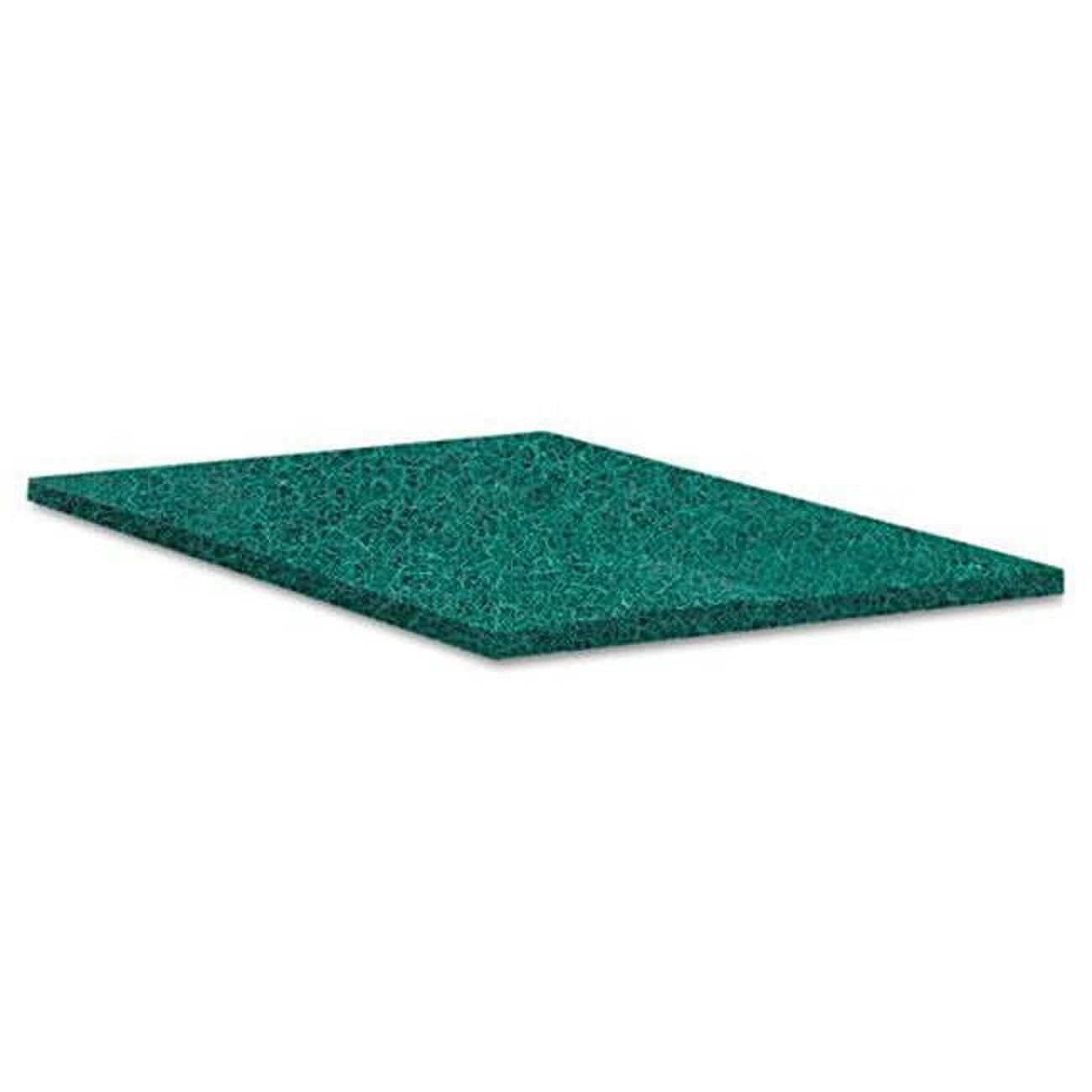BWK186 Heavy-Duty Scour Pad, Green - Walmart.com