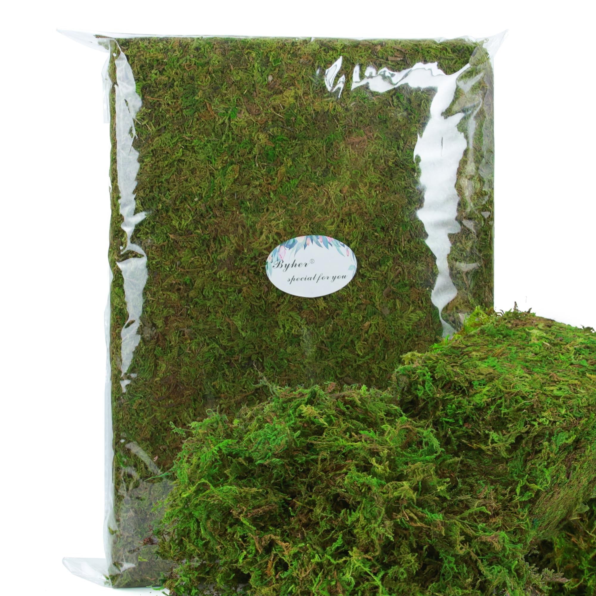 BYHER Craft Moss, 35OZ Fake Moss for Potted Plants Indoor, Artificial ...