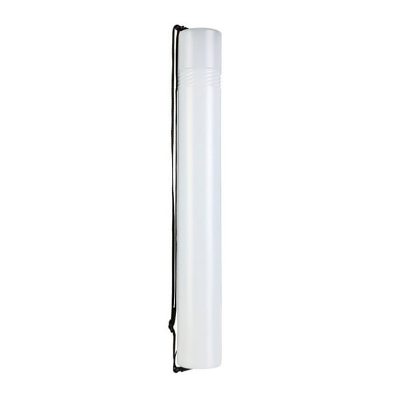 BYNNIX Telescoping Poster and Document Storage Tube, Extendable Poster ...