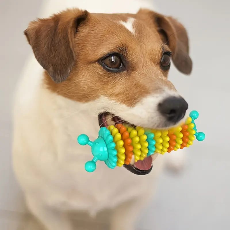 BYXAS Dog Chew Toys, Caterpillar Shape Bite Resistant Dog Teeth ...