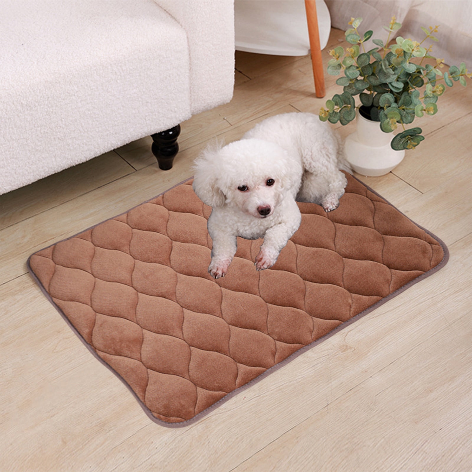 BZPIZ Pet Supplies Warm Dog Sleep Bed Mat Washable Dog Bed Deluxe Plush ...