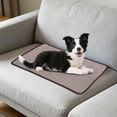 BZPIZ Summer Dog Cooling Mat with Scratching Board Ice Silk Self Cool ...