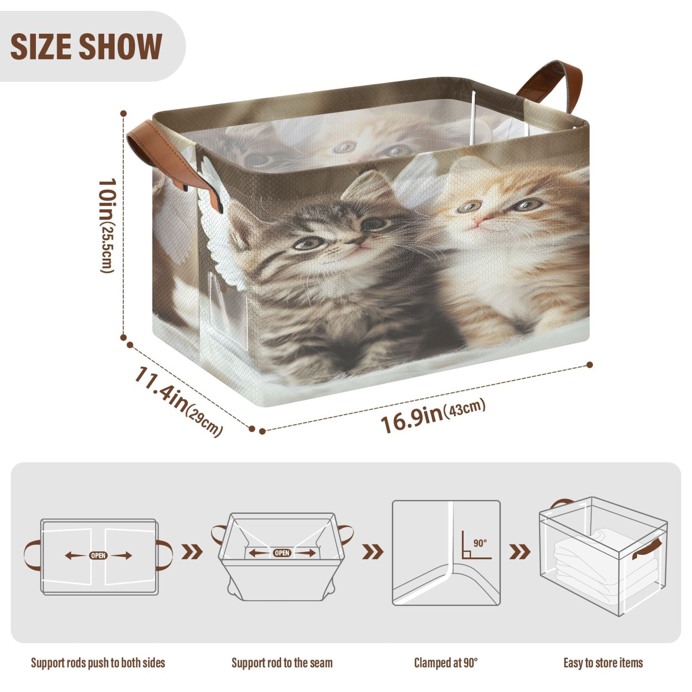 BZSMCE Collapsible Fabric Cube Storage Bins Two Cute Cats with Wings ...