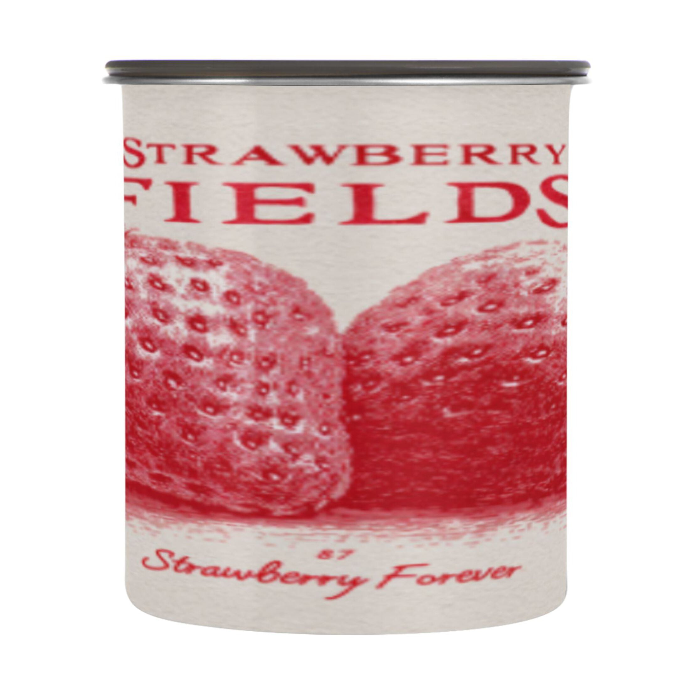 BZSMCE Food Storage Container 304 F Stainless Steel Containers Berry ...