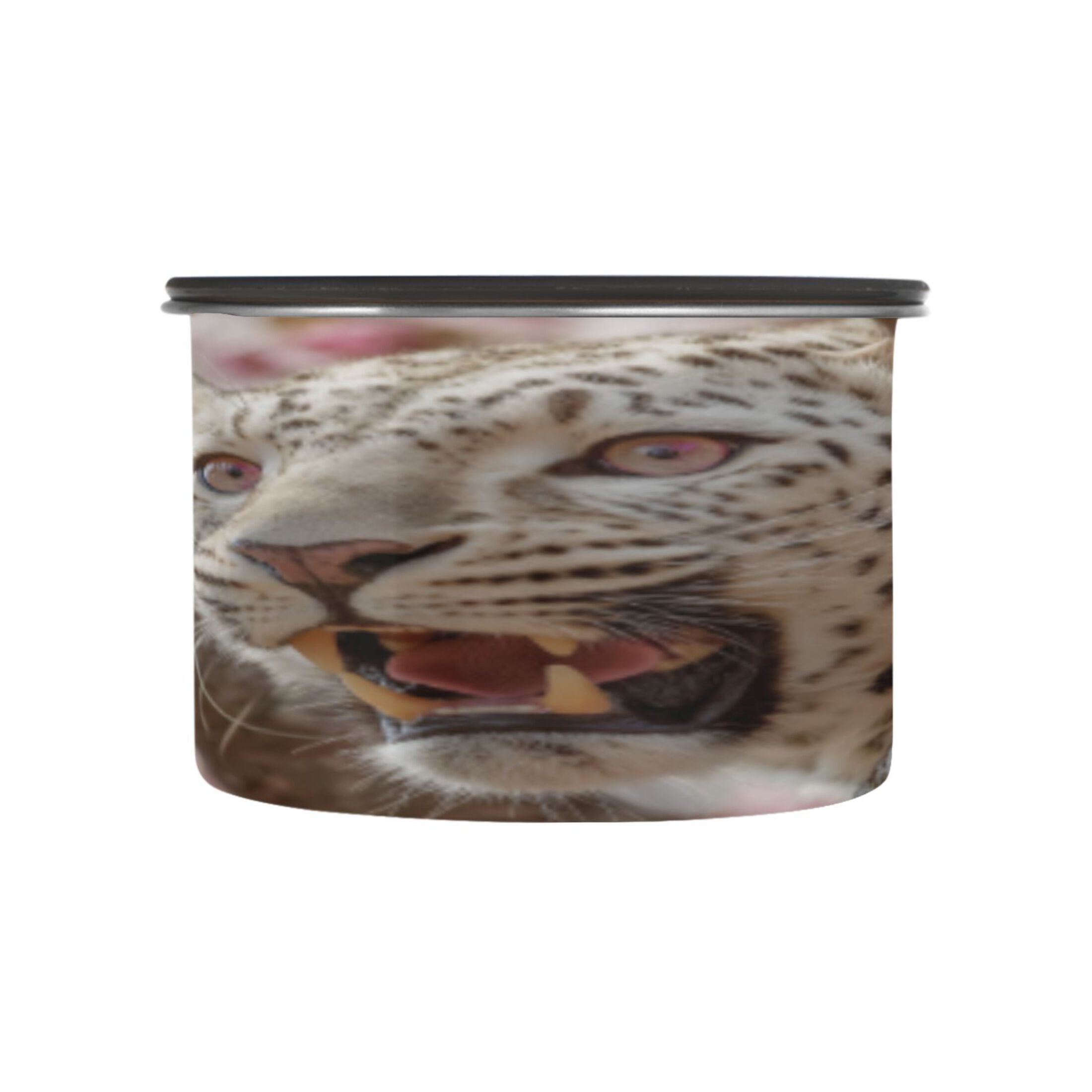 BZSMCE Food Storage Container 304 F Stainless Steel Containers Gazing ...