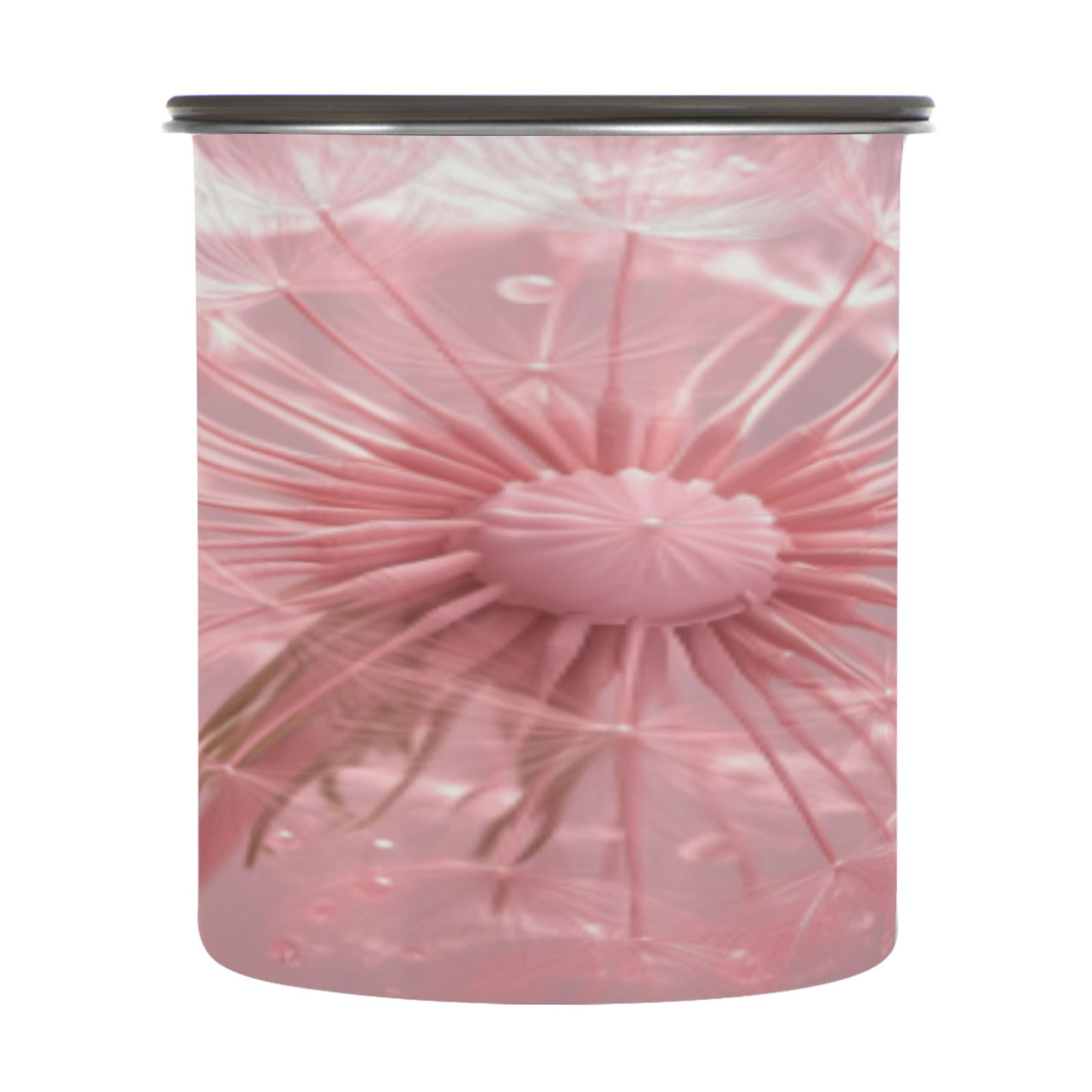 BZSMCE Food Storage Container 304 F Stainless Steel Containers Pink ...
