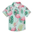 BZSMCE Short-Sleeve Button-Down Shirt Summer Flamingo Tropical Leaves ...