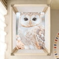 BZSMCE Soft Fitted Cotto for In Winter Snow Queen Owl Pattern 39*27/52 ...