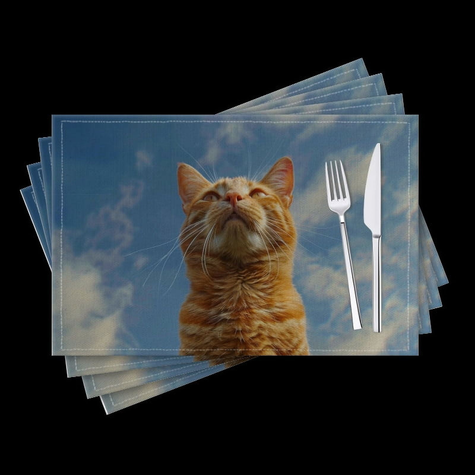 BaHomeck placemats Set of 4 Cute Ginger Cat Looking Up At The Sky ...