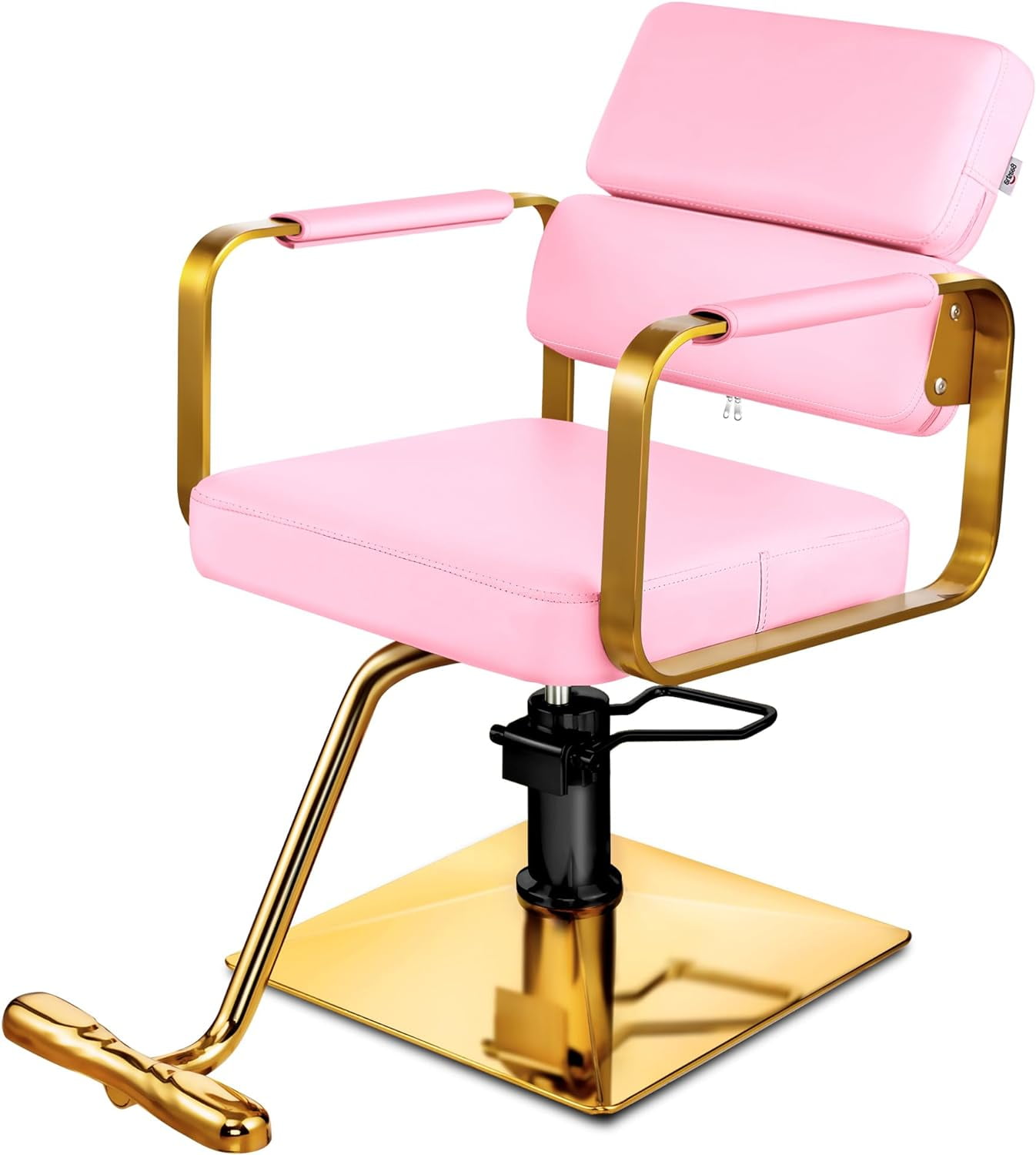 Baasha Pink Salon Chair, Gold Salon Chair for Hair Stylist, Heavy-Duty ...