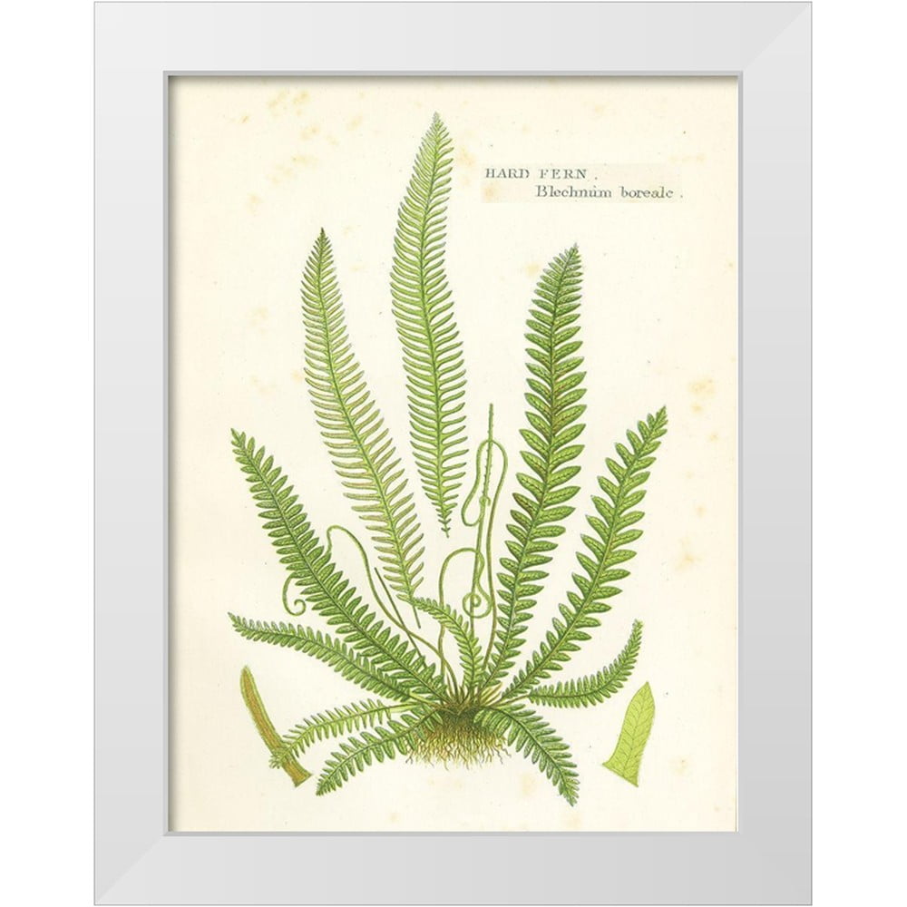 Babbitt, Gwendolyn 12x14 White Modern Wood Framed Museum Art Print ...