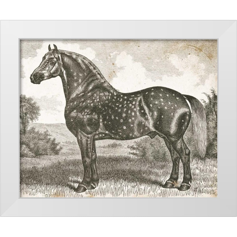 Babbitt, Gwendolyn 14x12 White Modern Wood Framed Museum Art Print ...