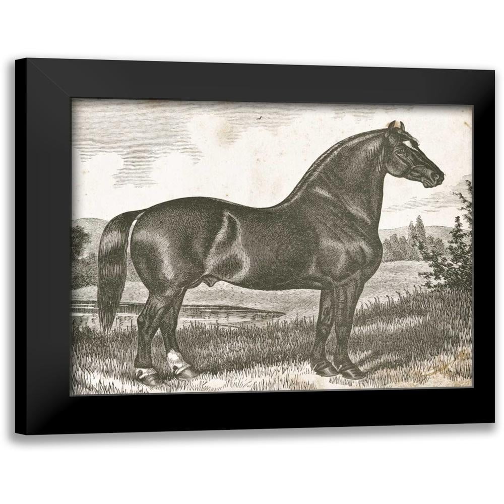 Babbitt, Gwendolyn 18x15 Black Modern Framed Museum Art Print Titled ...