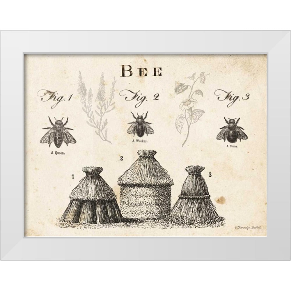 Babbitt, Gwendolyn 18x15 White Modern Wood Framed Museum Art Print ...