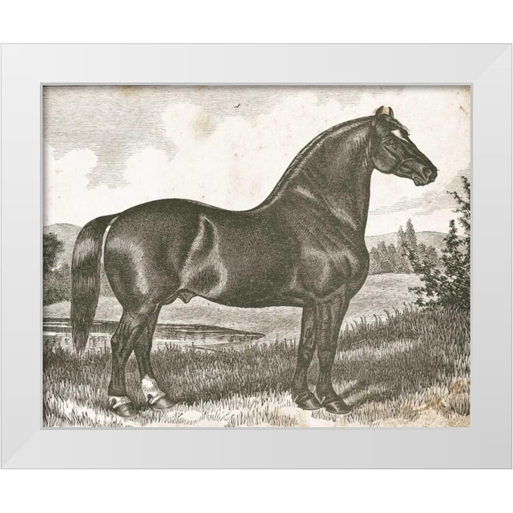 Babbitt, Gwendolyn 18x15 White Modern Wood Framed Museum Art Print Titled - Horse Etching I ...